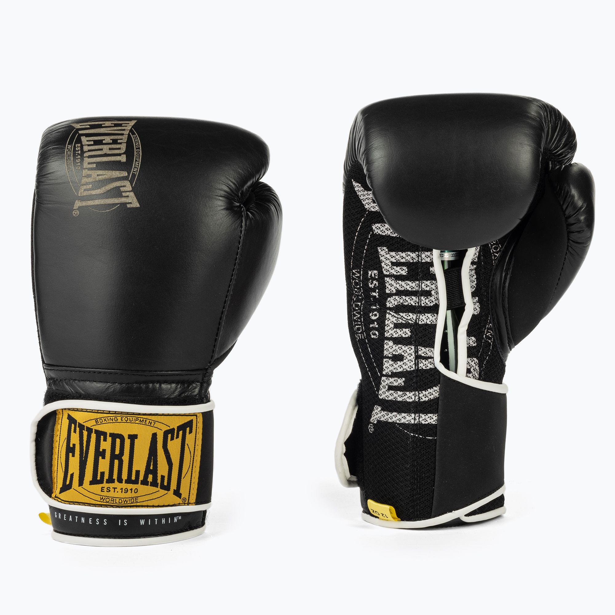 EVERLAST 1910 Klasické hnedé boxerské rukavice EV1910 (EV1910 BROWN ...