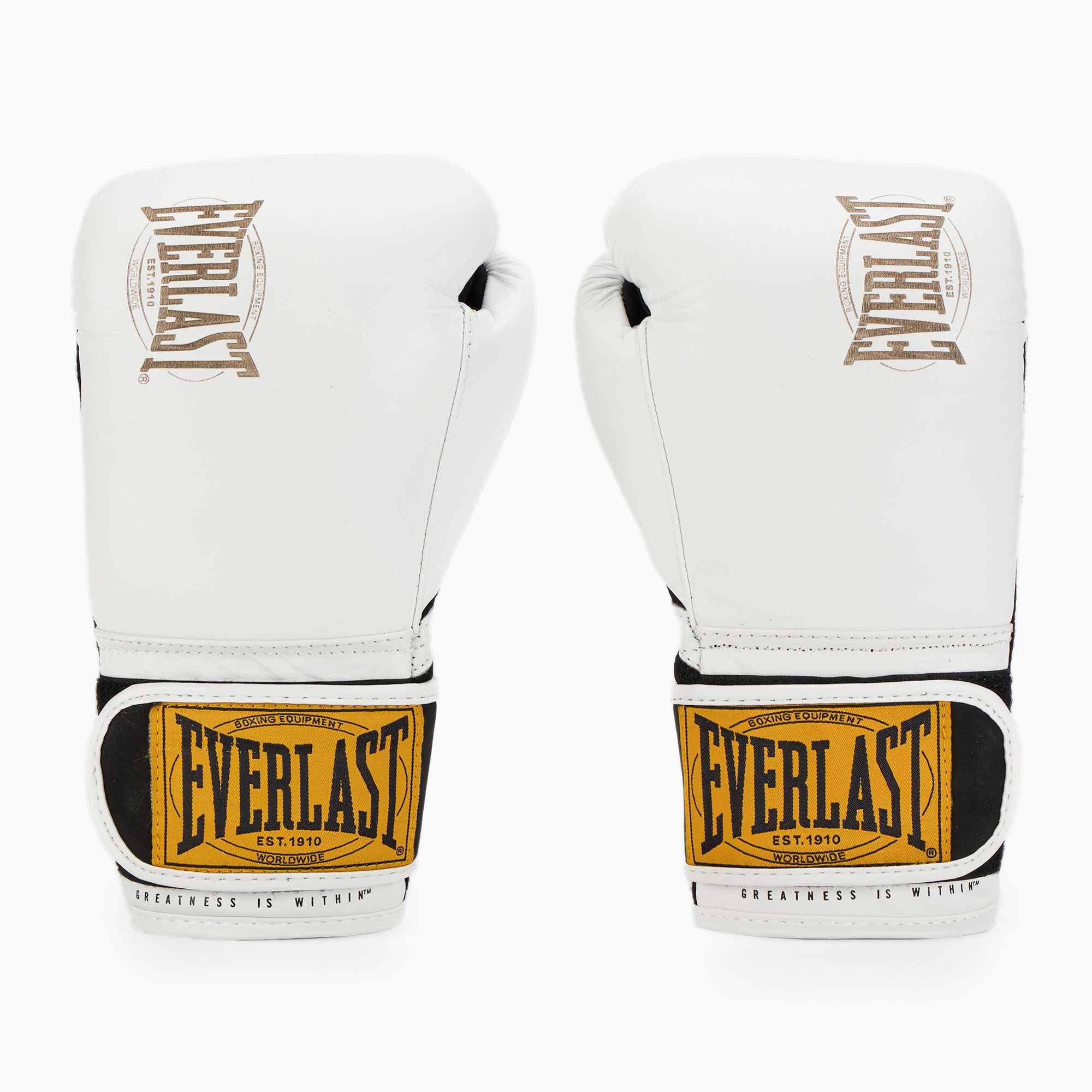 EVERLAST 1910 Klasické hnedé boxerské rukavice EV1910 (EV1910 BROWN ...